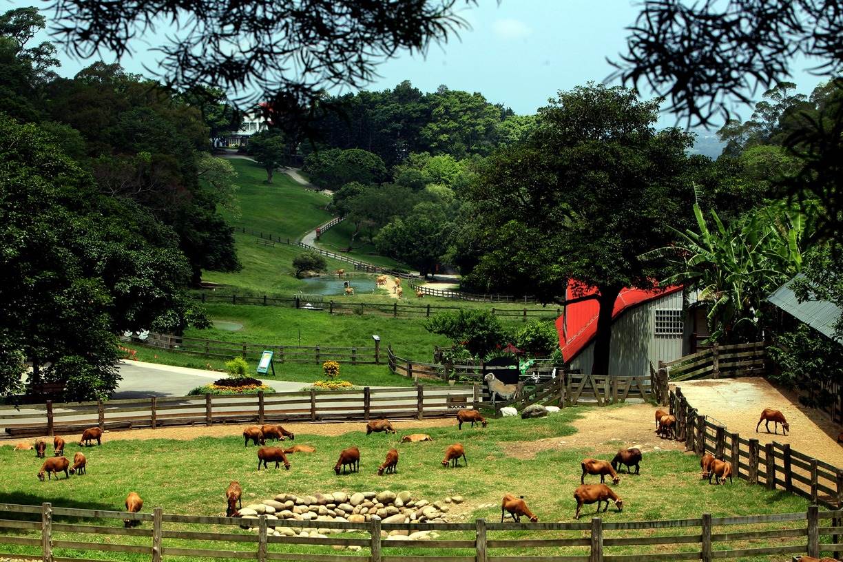 Flying Cow Ranch | Taiwan Leisure Farms Development Association