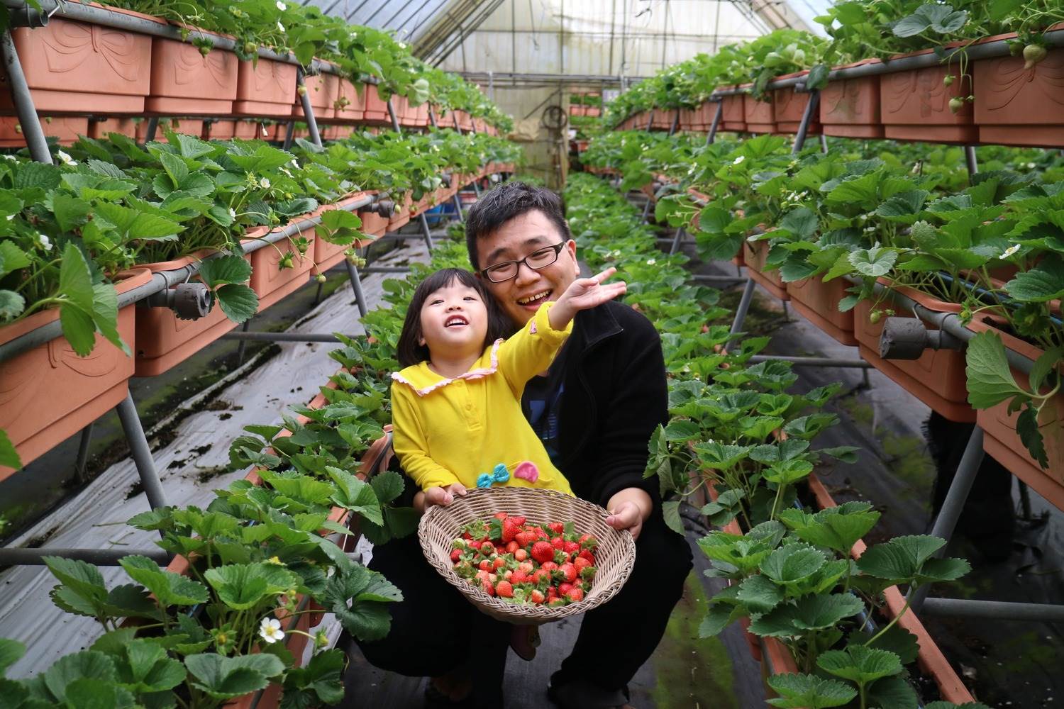 Farmily Farm | Taiwan Leisure Farms Development Association