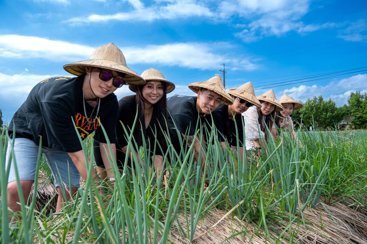Yilan Sanxing Scallion | Taiwan Leisure Farms Development Association
